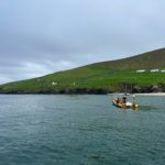 Dingle Sea Safari Tour in Co. Kerry, Ireland