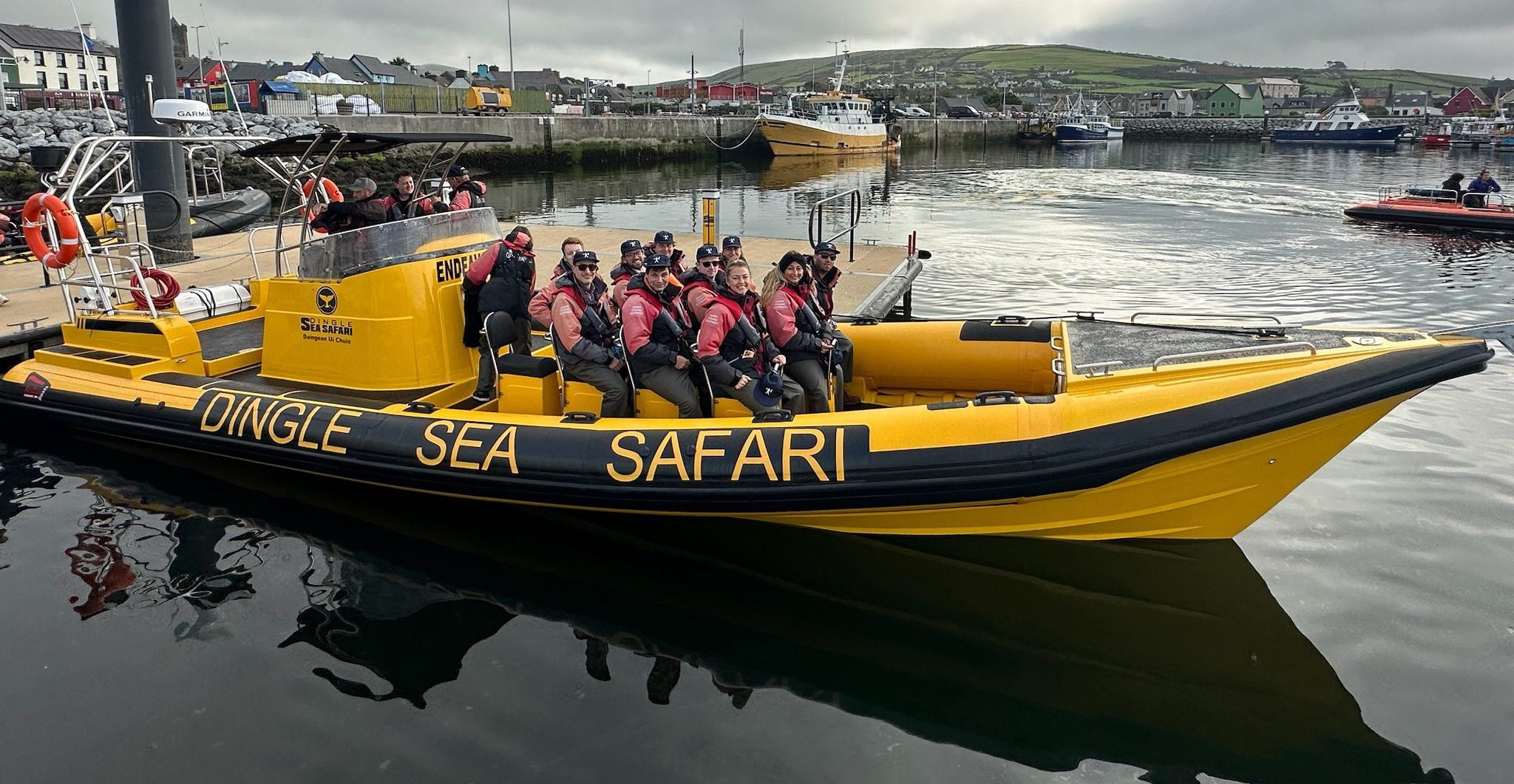 Festivals in Dingle - Dingle Sea Safari